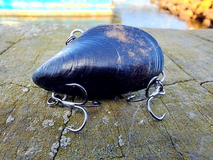 The Mussel Vibe – outback-breamer-baits